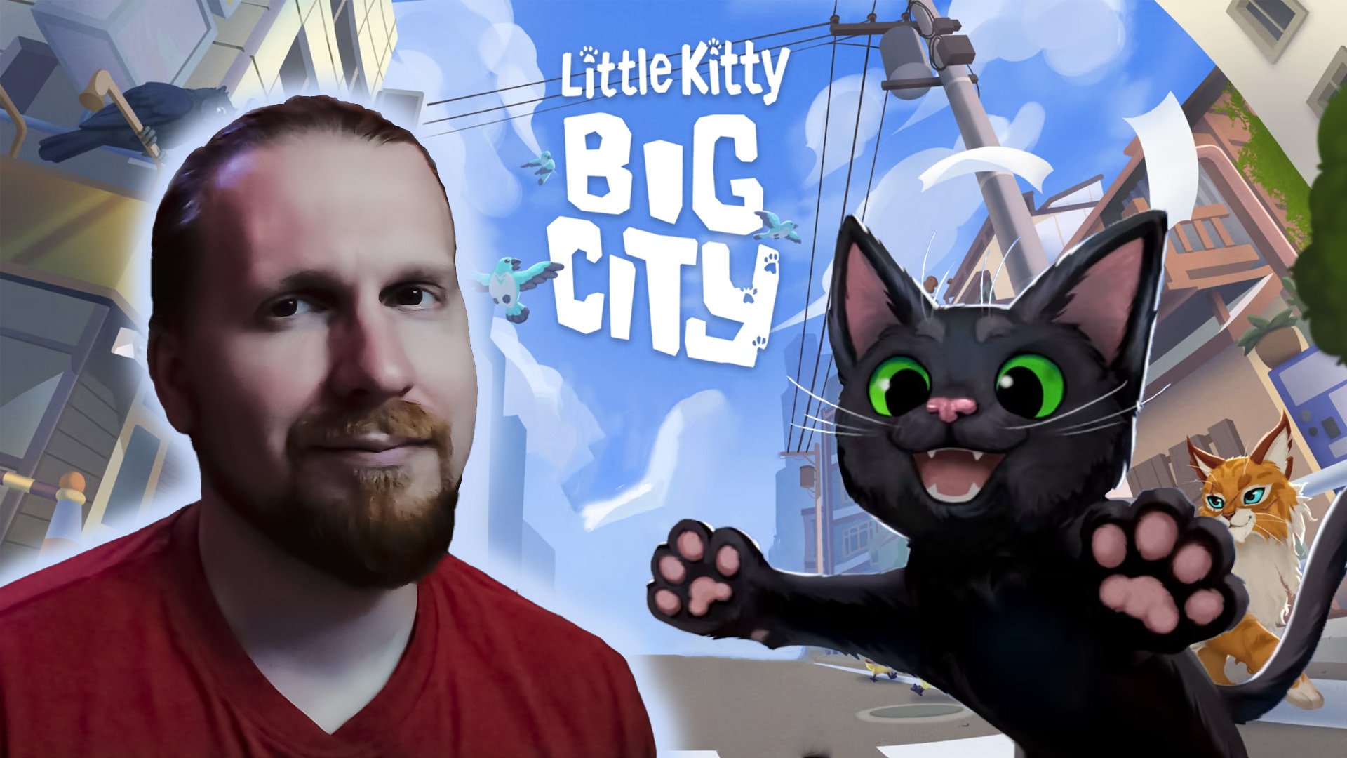 [DEMO] Котики. Тебе нравятся котики? ✚◦◦✤ Little Kitty, Big City