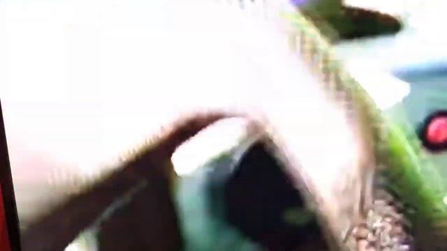 Здесь езжу только я, на своей Буханочке.