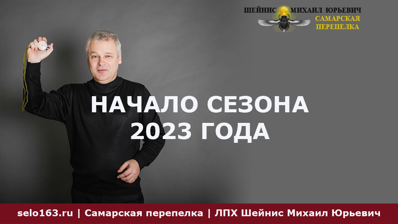 Начало сезона 2023 года. Пока без перепелок...