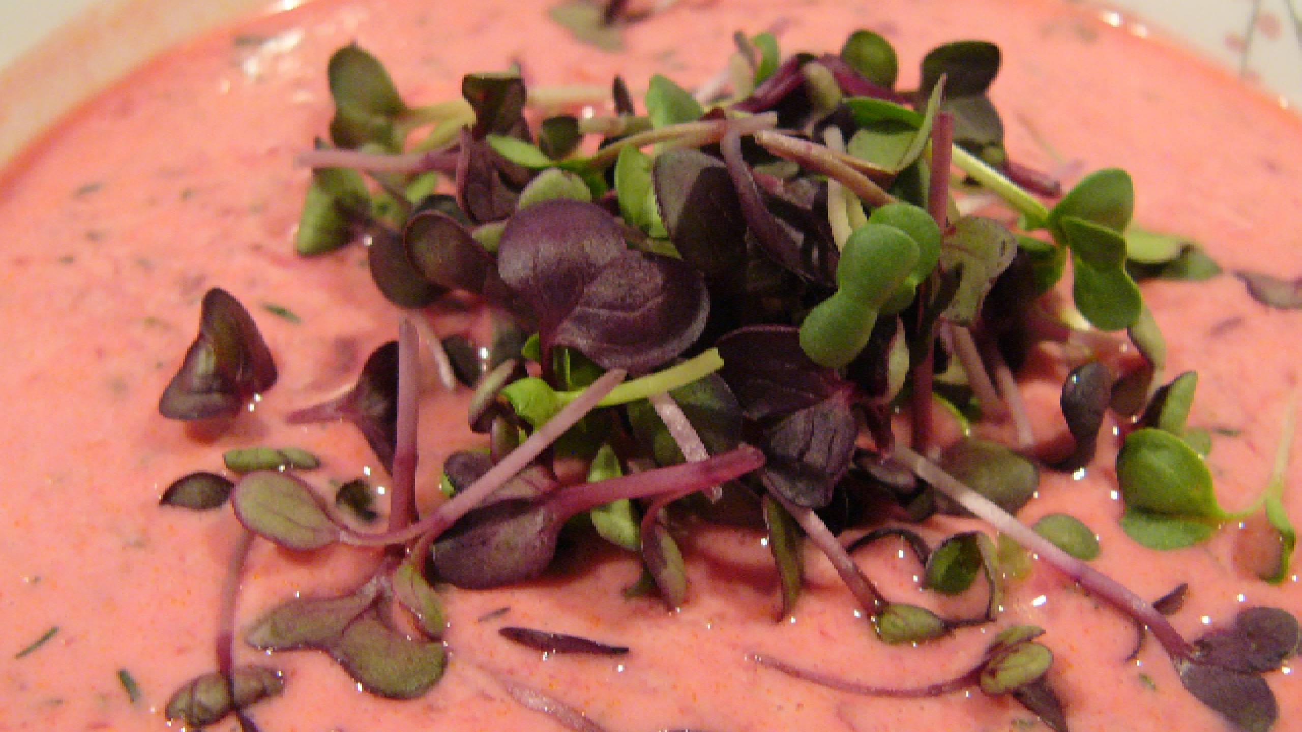 Летний, холодный суп Свекольник и микрозелень Листовой редис