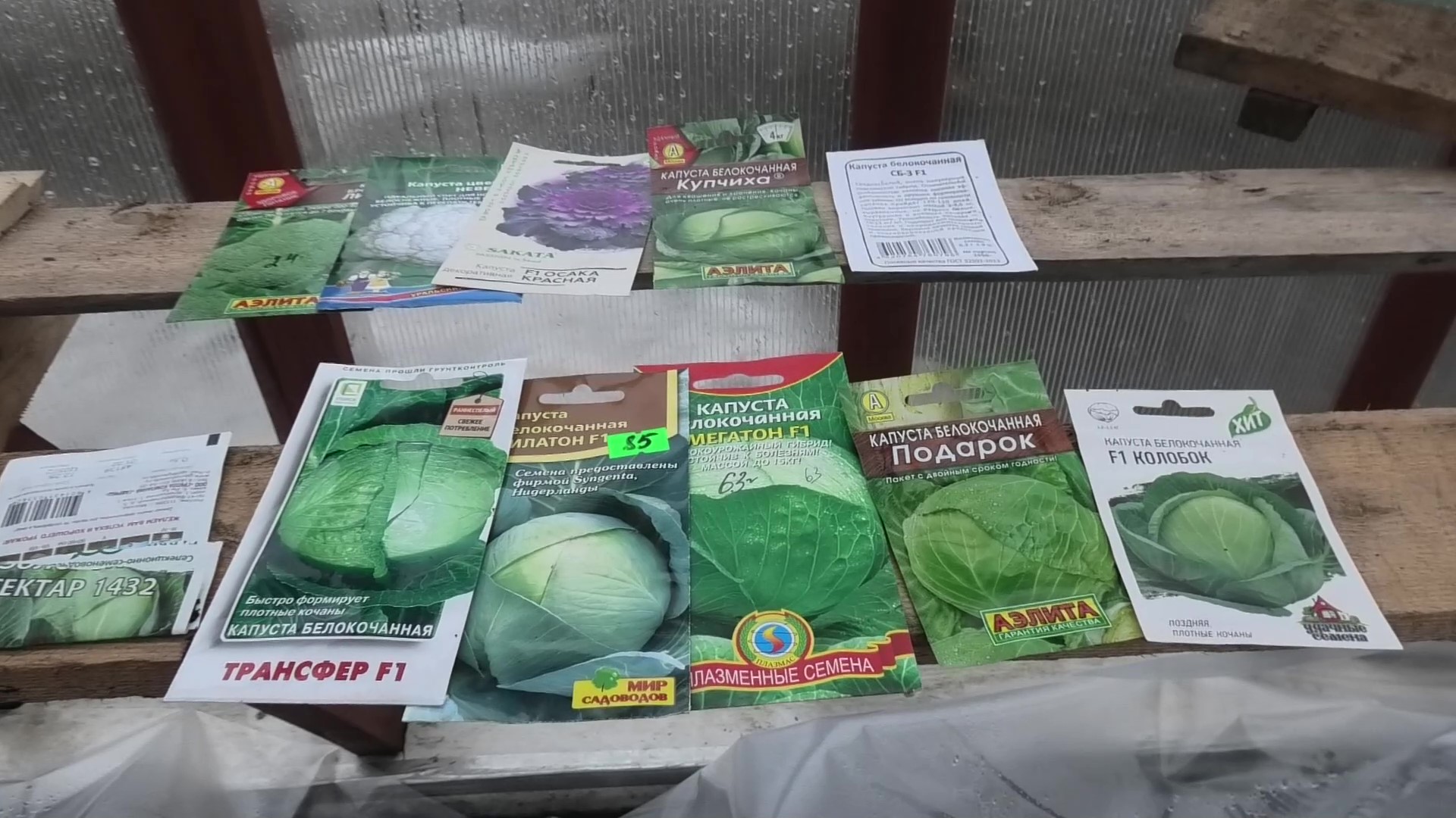 25 04-3 05 24г посев в теплице капусты,свёклы и цветов