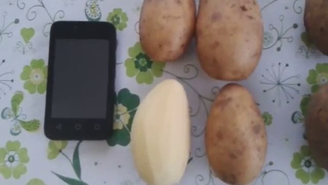 Картофель Королева Анна и Горняк..mp4