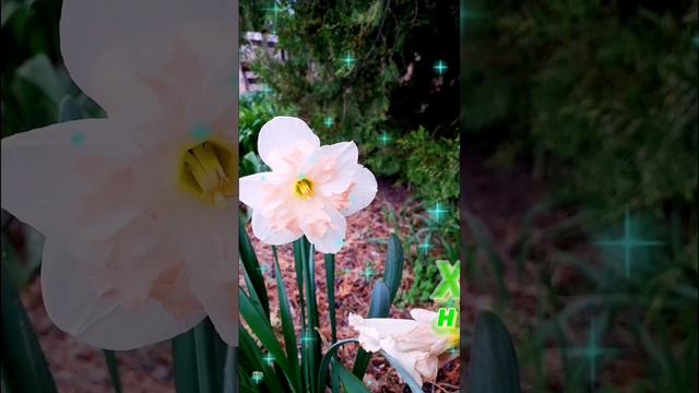 Хорошего настроения