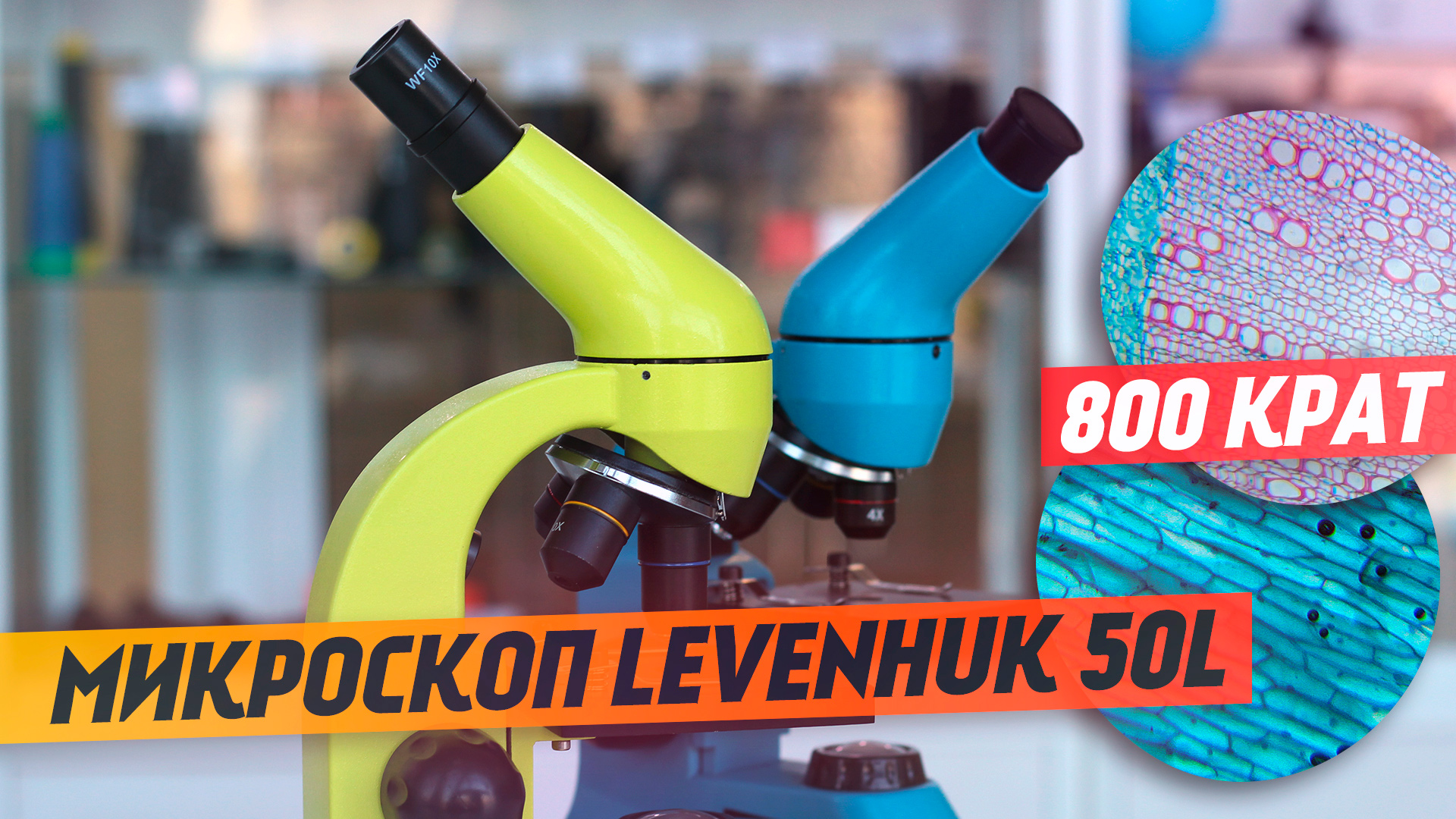 Микроскоп Levenhuk Rainbow 50L – обзор и тест