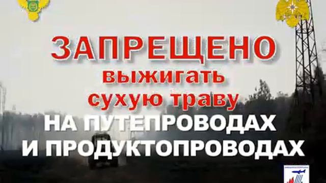 Береги лес ТК ОКСИОН