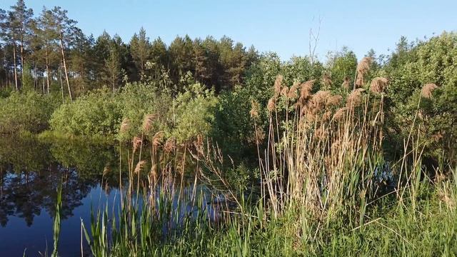 Мещёрские зарисовки.Прогулка по любимым местам.