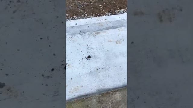 Крыльцо/Выход на участок/СБ-групп/#благоустройство участка #екатеринбург #косулино