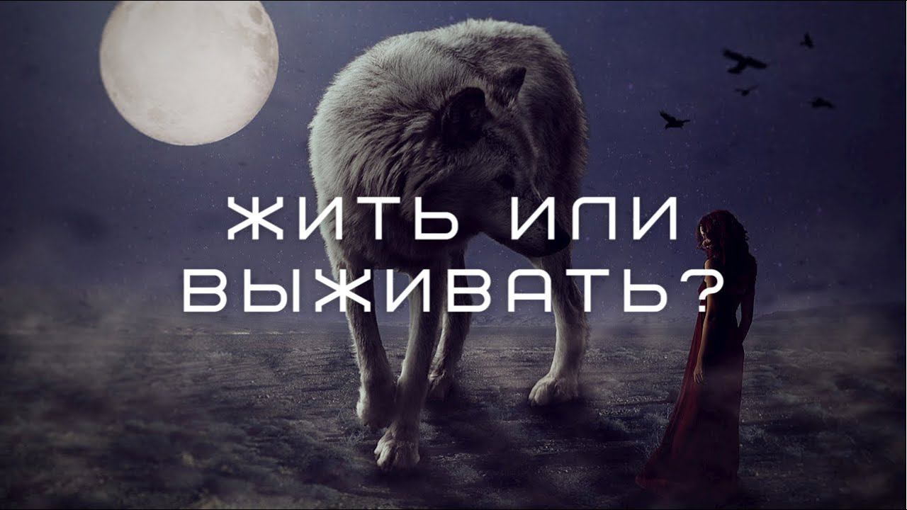 Жить или выживать?