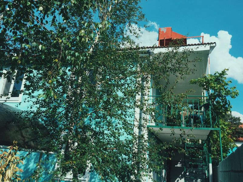 Семейный отдых в Севастополе. Недорогое жилье для отдыха в Севастополе. «Березовый рай» ГОСТЕВОЙ ДОМ