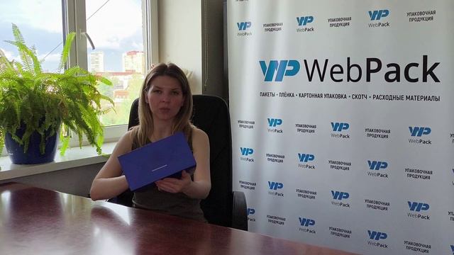 Крафт пакет с кручеными ручками, 220*120*250 (Ш*Г*В) мм (синий)