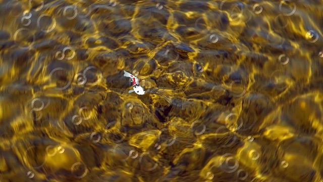 Футаж. Эффект прозрачности воды 6