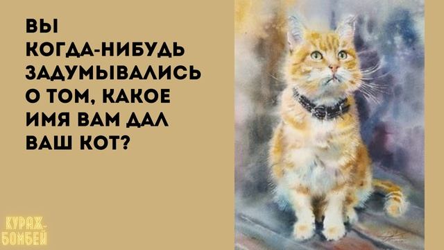 Анекдот в картинках от КУРАЖ БОМБЕЙ. Выпуск 83: летнее одеяло поверх, Хатико и причина развода #юмор