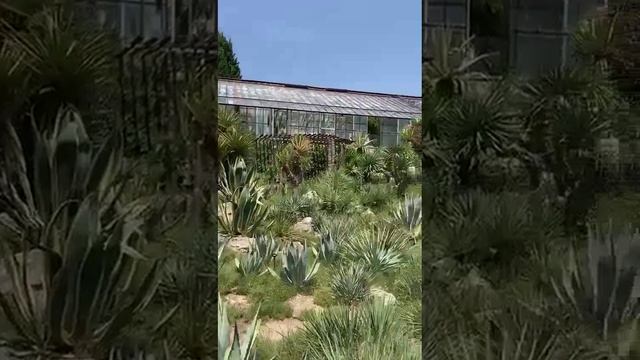 Студенты БГИТУ на отдыхе