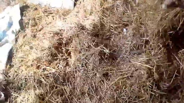 На снегДа легко