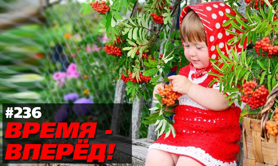 Посмотрите, чем жила Россия эту неделю (Время-вперёд! #236)