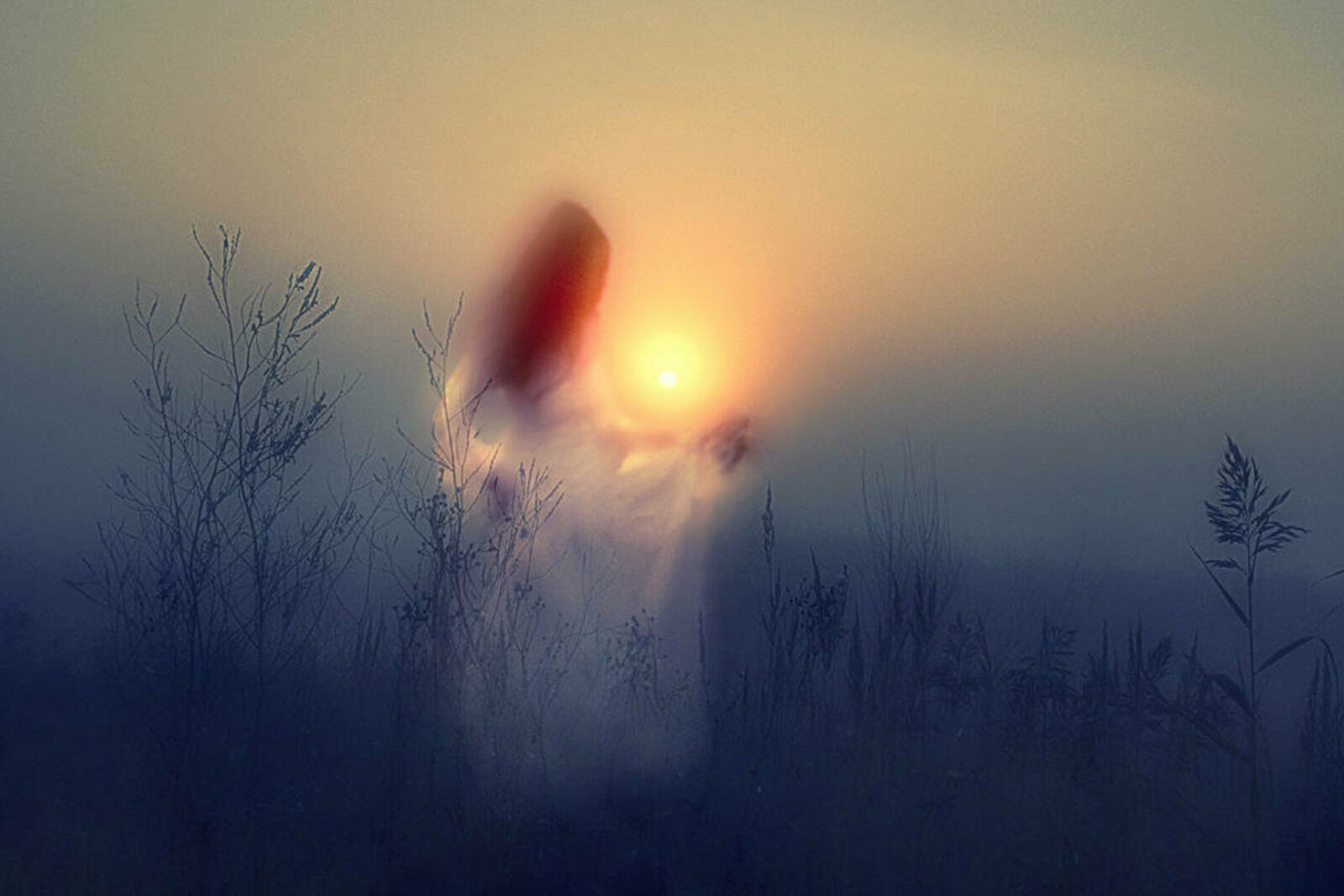 ВЫ ЕСТЬ ТИШИНА