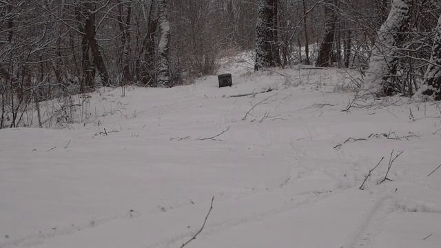 АТ-Л,артиллерийский тягач   28 .01.2020 г..mp4