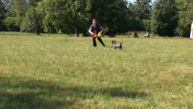 Фризби Фристайл Ирина и Хлопа.mp4