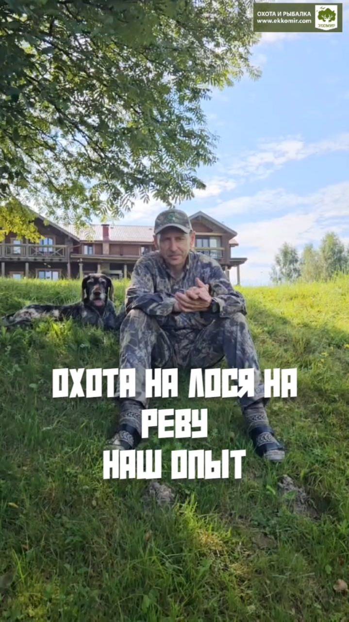 Охота на лося на реву: как манить