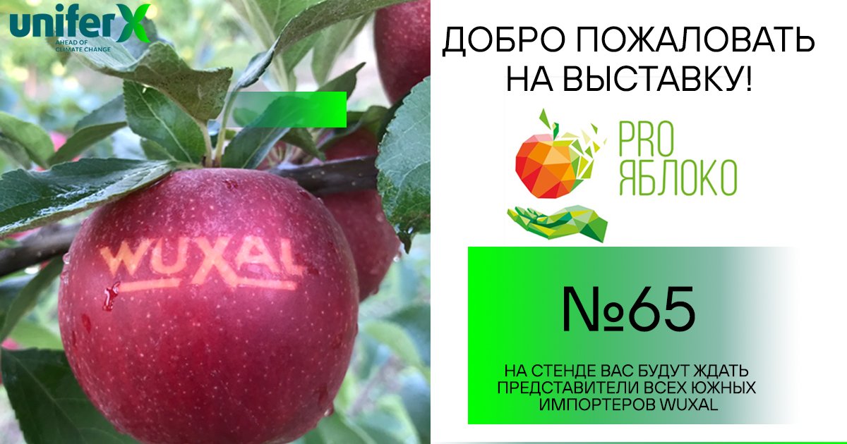 Pro Яблоко 2022 / Выставка для садоводов