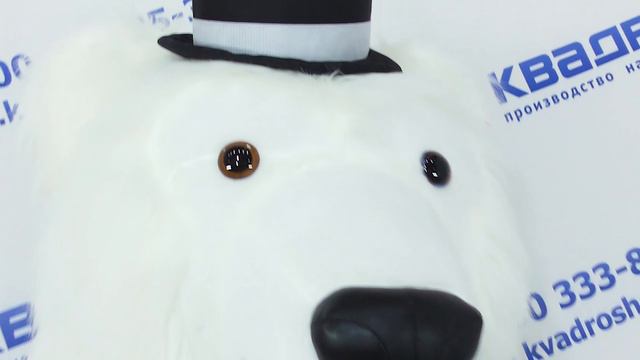 Белый Мишка и праздничный костюм в компании КвадроШоу🎉 #надувнойкостюм #белыймишка #мишка