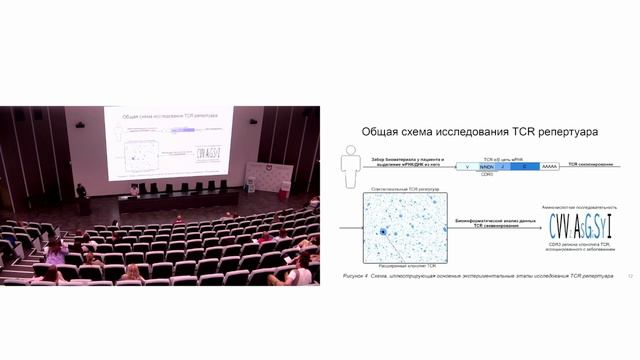 21 Профилирование Т-клеточного репертуара у пациента с хронической цитомегаловирусной