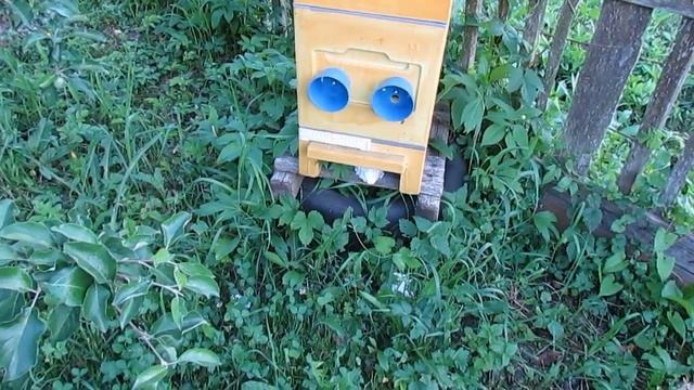 июль на пасеке - какие нуклеусы я применяю для облета маток и различие в нуклесух разных конструкций