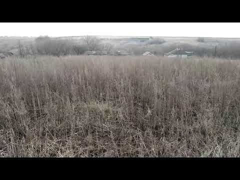 Покос бурьяна, открытие сезона