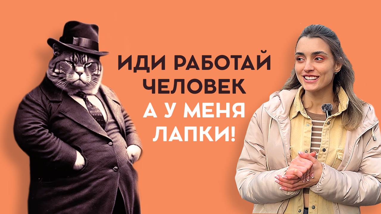 Новые образы наших кошек из приюта. Проверьте может ваш кот похож на начальника.