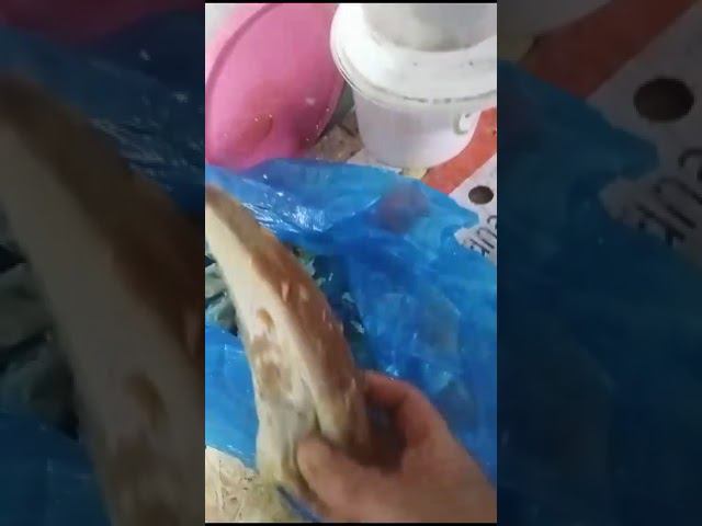 Мясорубка MS32 за 18000 руб эконом 1.5 кВт перемалывает измельчает рыбу целиком #farming #machine