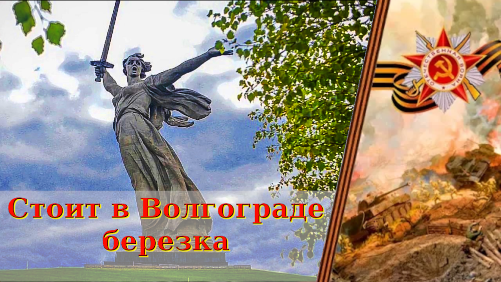 Стоит в Волгограде Берёзка.