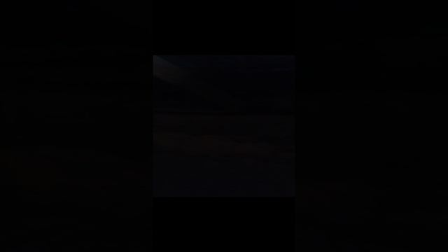 У моей Белочки есть котята.😉🤩