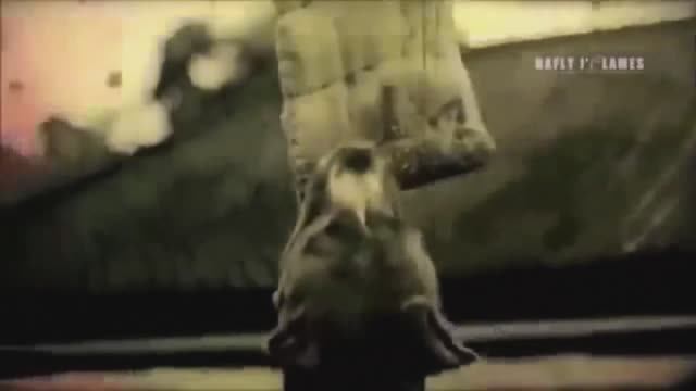 Питбультерьер. Самая спортивная собака.mp4