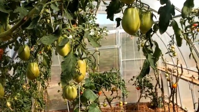 ХРОНИКИ УХОДЯЩЕГО СЕНТЯБРЯ