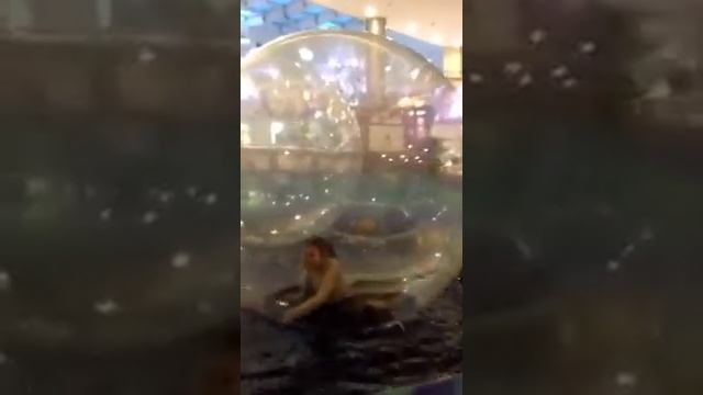 Канал Доминика-земляника... В шаре....mp4