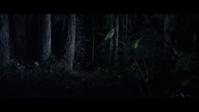 В течение 60 лет инопланетяне улучшают людей, развивая человечество и готовя его к нападению.