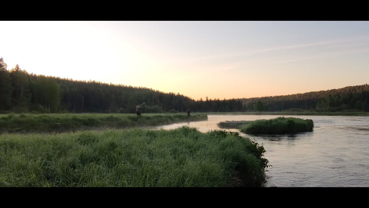 рыбалка на реке Емца. ловим хариуса и сига.