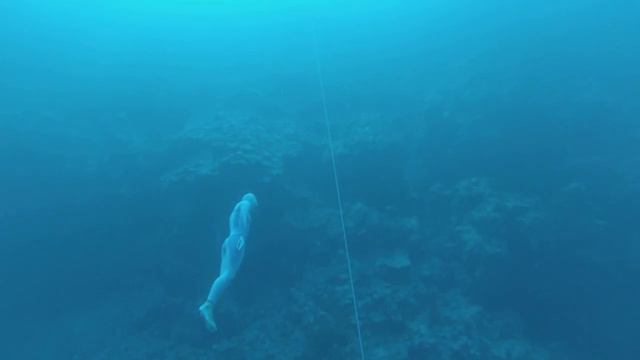 ПАМЯТИ Натальи Молчановой ДАХАБ 2015г.Арка BIUE HOIE