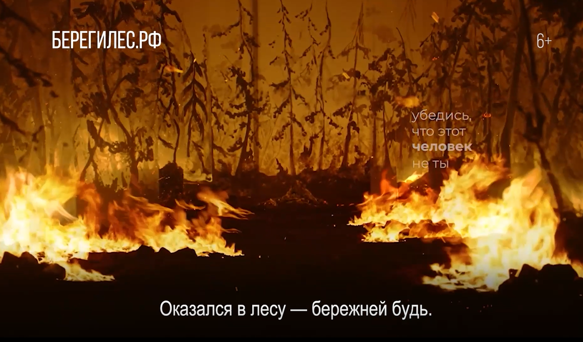 Оказался в лесу – бережней будь