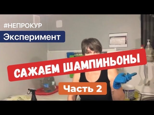 Сажаем шампиньоны. Часть 2. Результаты.