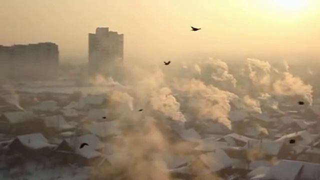 ЗОЛОТЫЕ МОНЕТКИ БЕРЁЗ - Наталия Канчева-Хинова (сл.), Анатолий Пережогин (сл., муз.),Раиса Криницкая