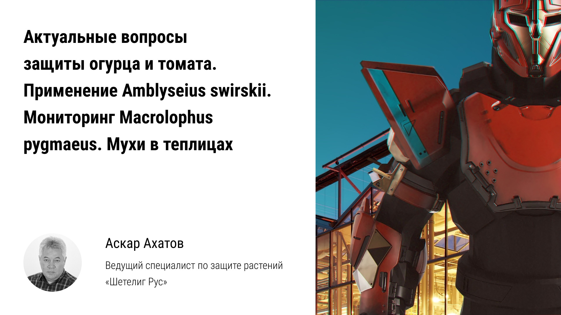 ?️ Актуальные вопросы защиты огурца и томата. Применение и мониторинг хищных клещей. Мухи в теплицах