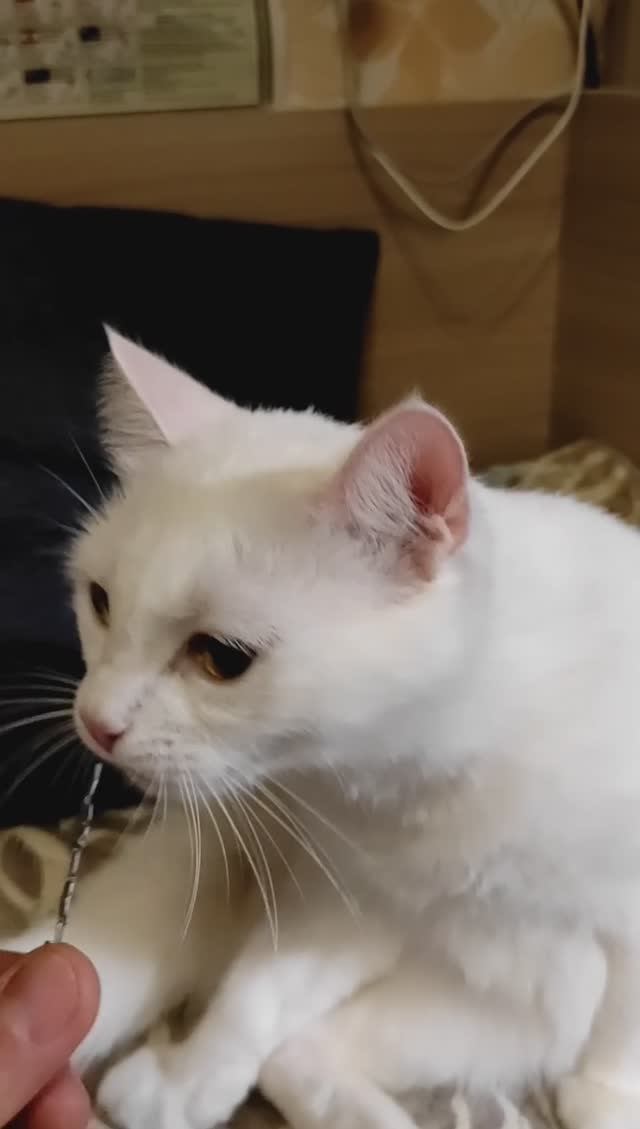 Кто ворует Lego? #shorts преступление века