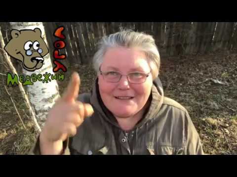 О БЕДНОЙ КРАПИВЕ ЗАМОЛВИТЕ СЛОВО (Школа травоведения)