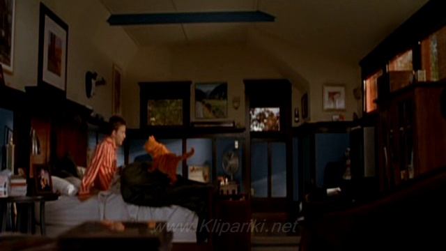 Рыжий кот Мурлыка