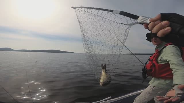 Блесна Ronin Rush Koema - ловим язя в Карелии