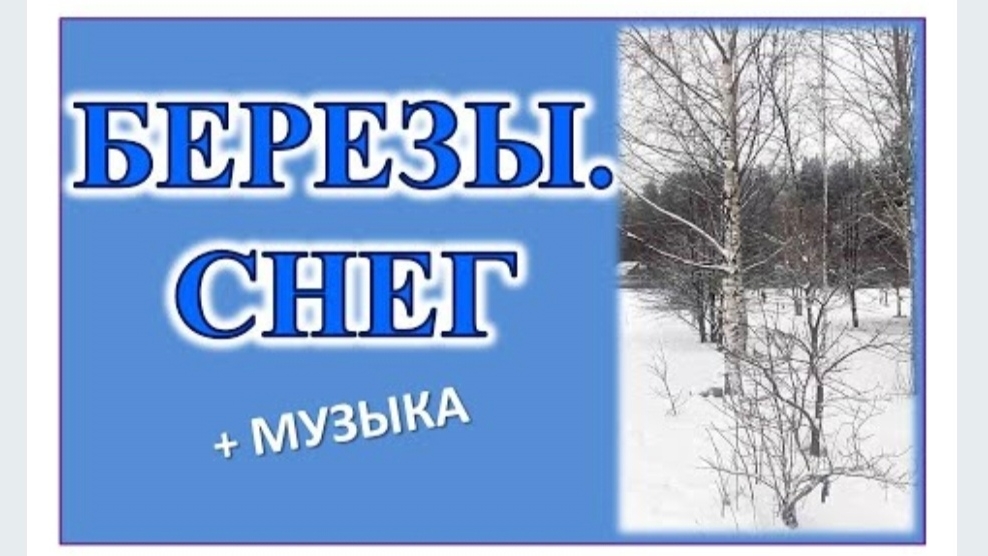 БЕРЕЗА. СНЕГ. Александра Миркушова