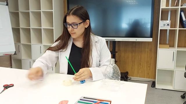 Мастер класс. "Механизм дыхания. Макет лёгкого." (Биоквантум).