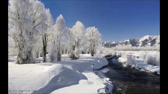 Планета чудес
