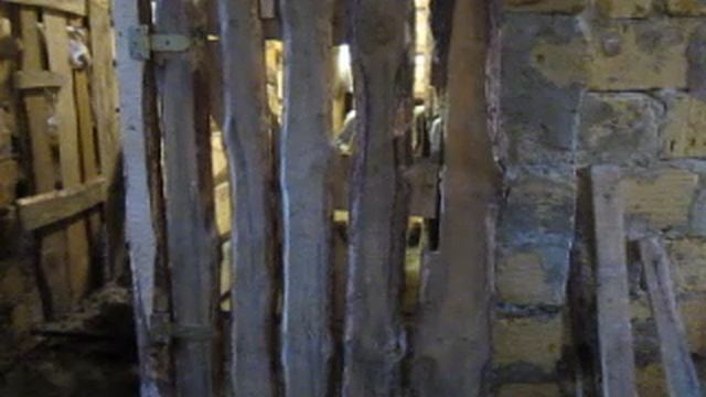 умная козочка зайка открывает дверь